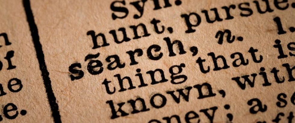 Search Engine Terminology For Small Business Owners | Watchdog Studio